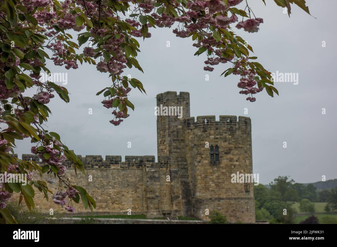 Tynemouth park tynemouth hi-res stock photography and images - Alamy