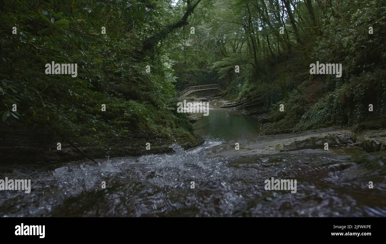Beautiful streams of forest river in summer. Creative. River flows in ...