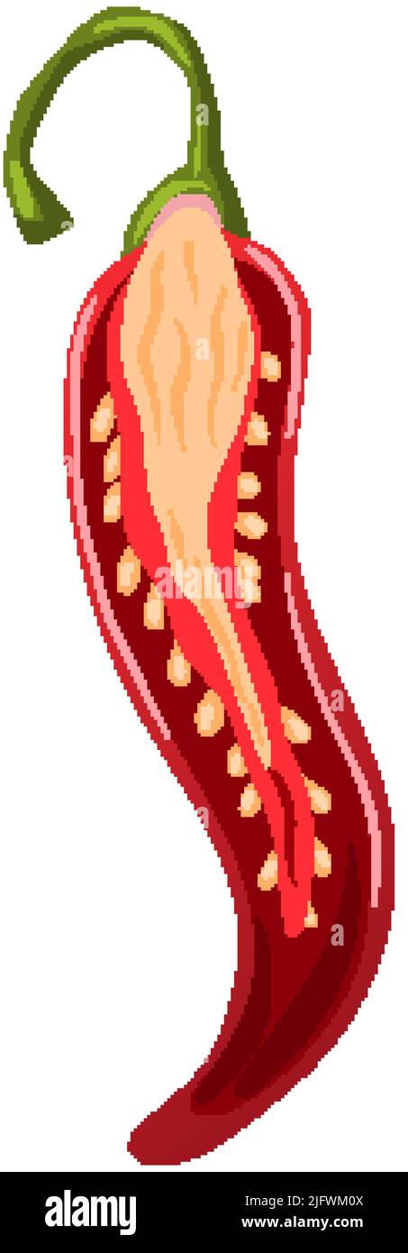 sliced chili pepper cartoon vector Stock Vector Image & Art - Alamy