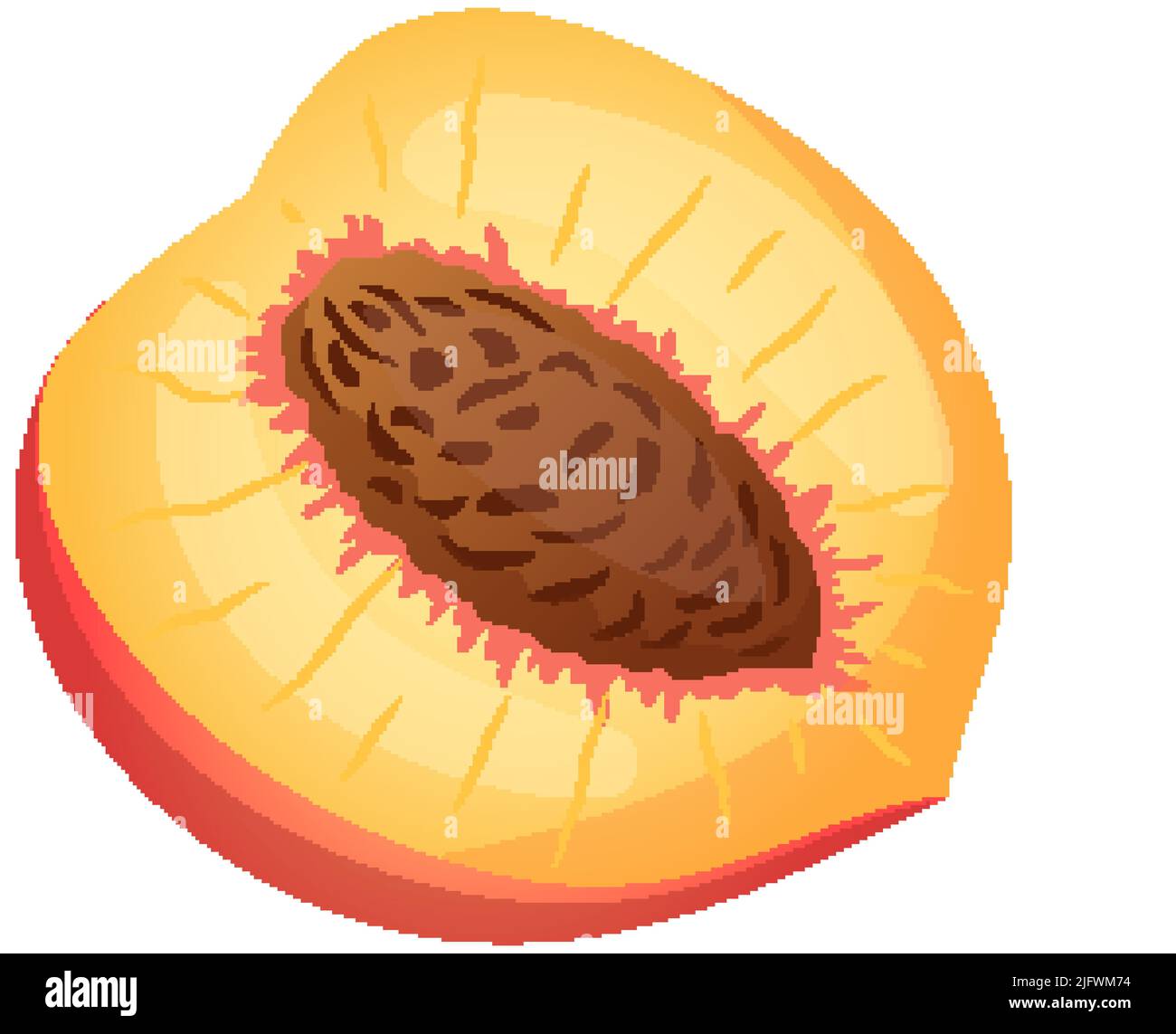 fruit peach cartoon vector Stock Vector Image & Art - Alamy