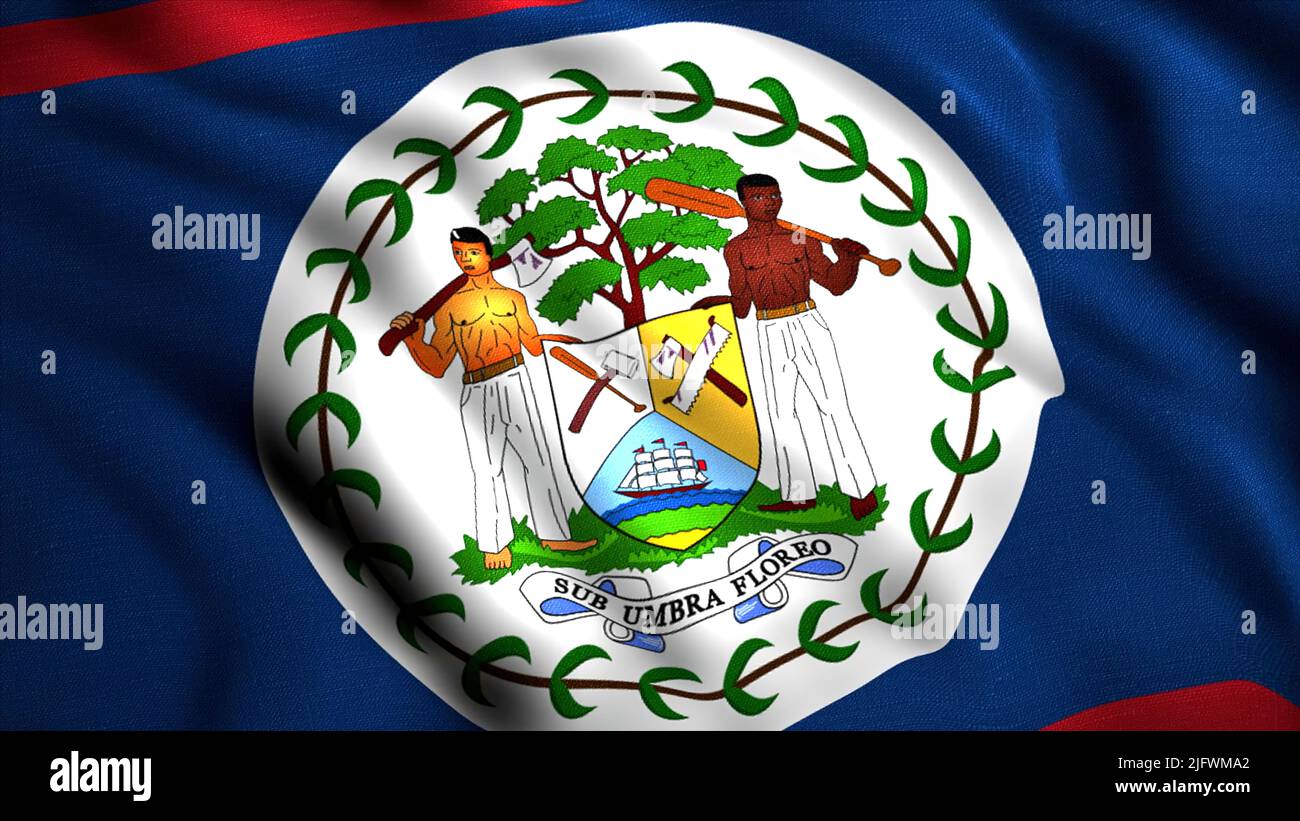 Flag of Belize.Motion. The national symbol of the country . High ...