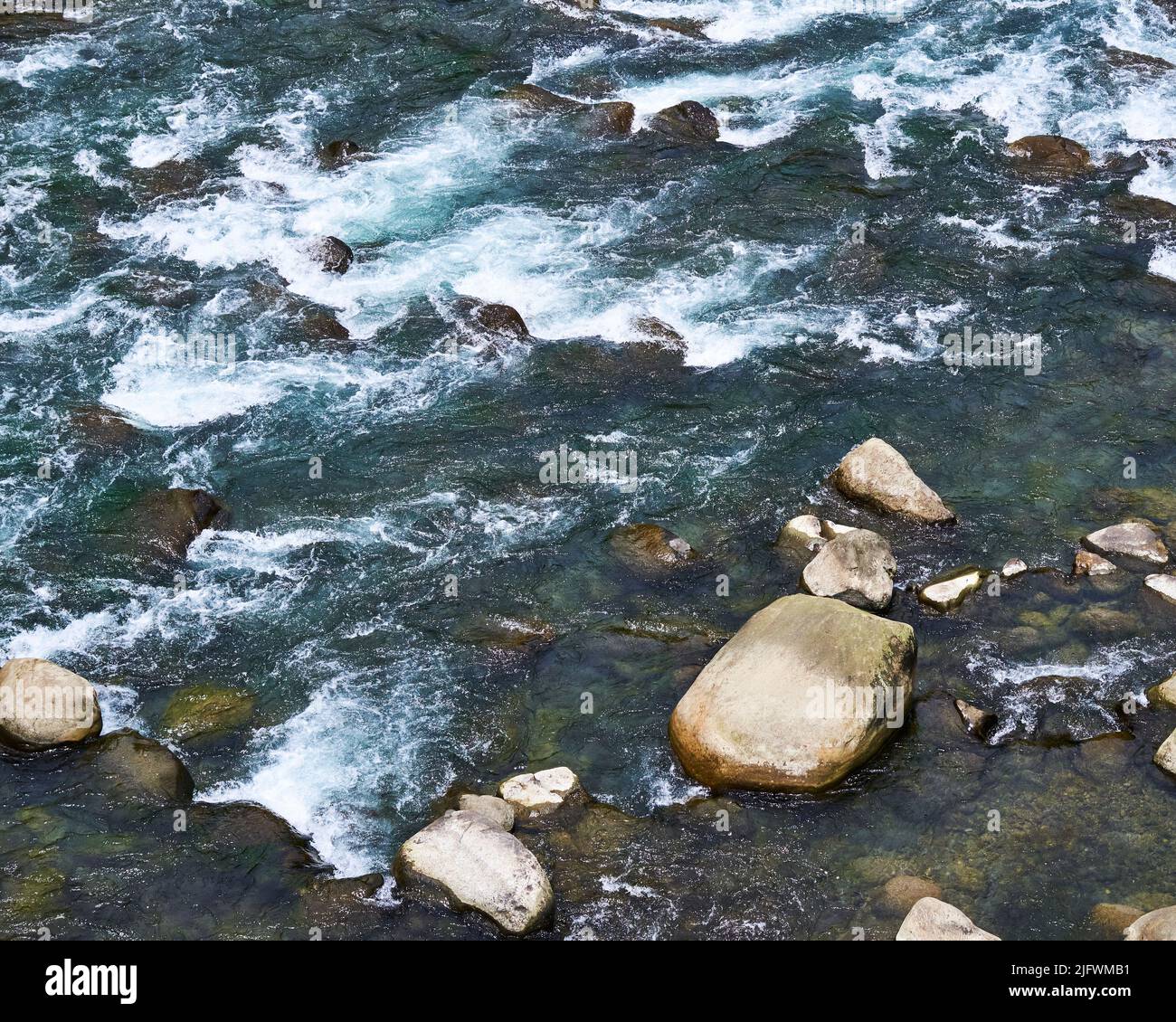 Forest river flows sea hi-res stock photography and images - Alamy