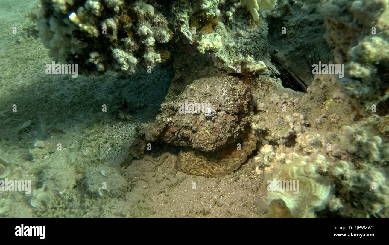 Close up footage of stone hi-res stock photography and images - Alamy