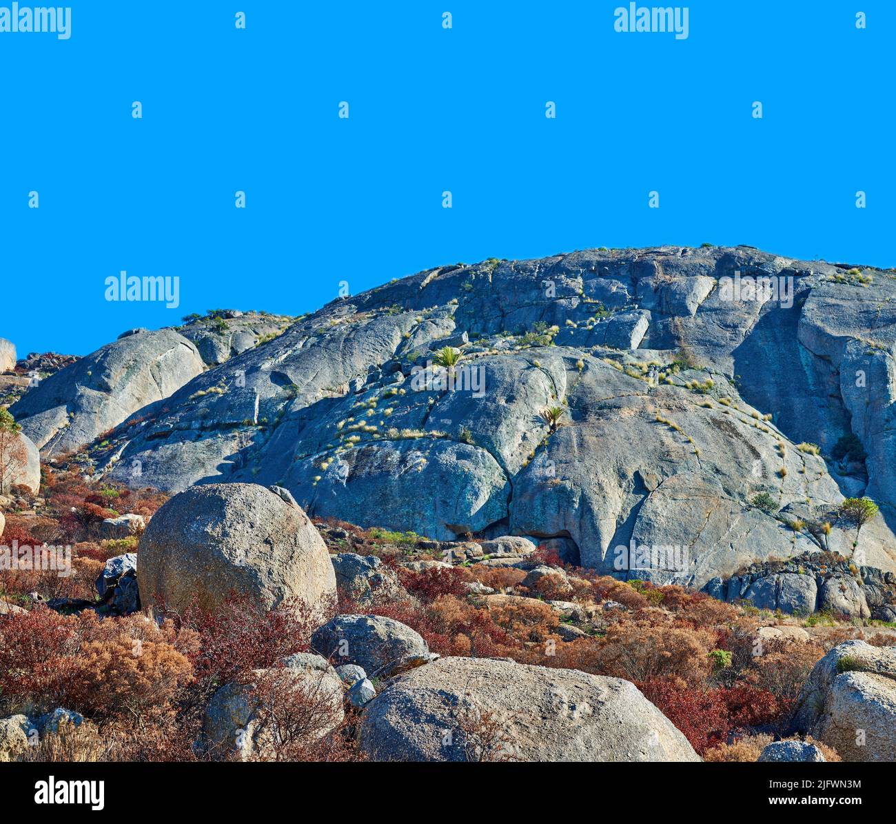 Landscape view of mountain on sunny day, burnt plants and bushes with ...