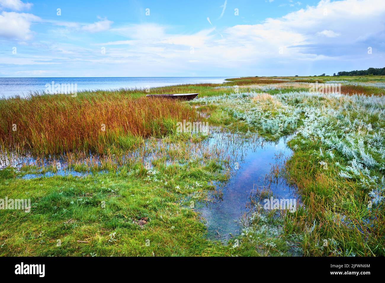 Swamp land hi-res stock photography and images - Alamy