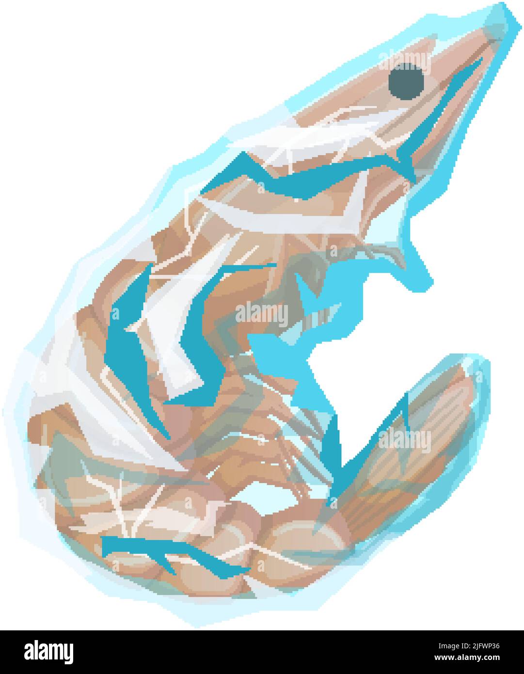 shrimp frozen cartoon vector illustration Stock Vector Image & Art - Alamy