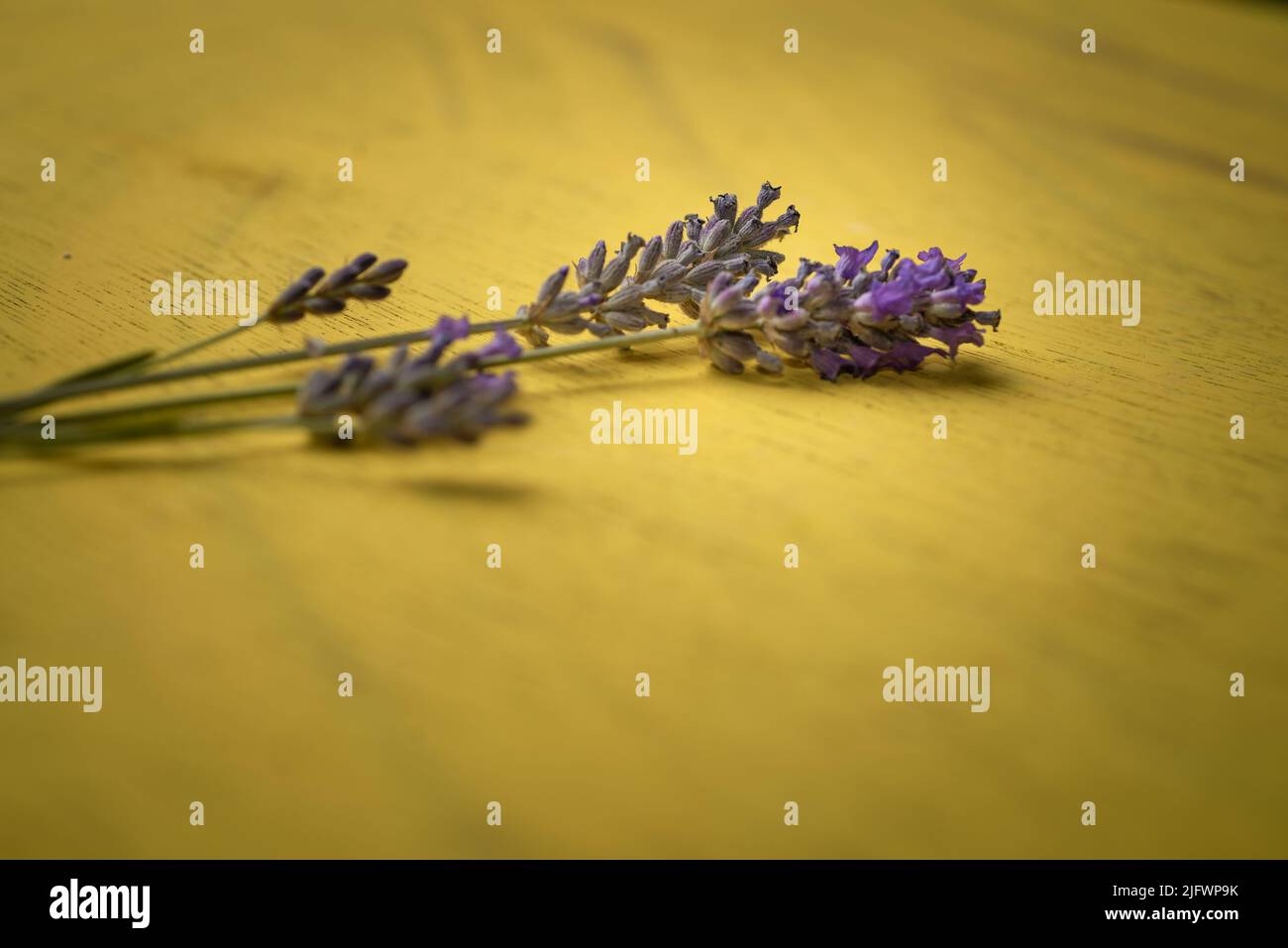 Lavender paint hi-res stock photography and images - Alamy