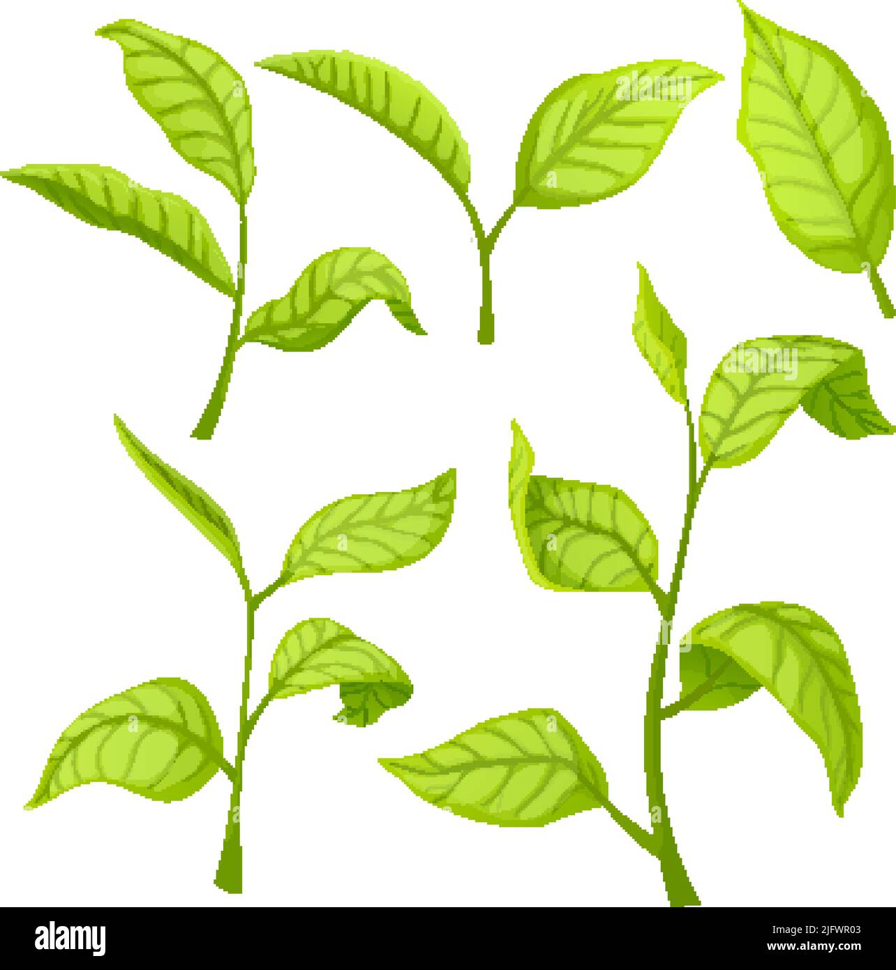 tea green leaf set cartoon vector illustration Stock Vector Image & Art ...