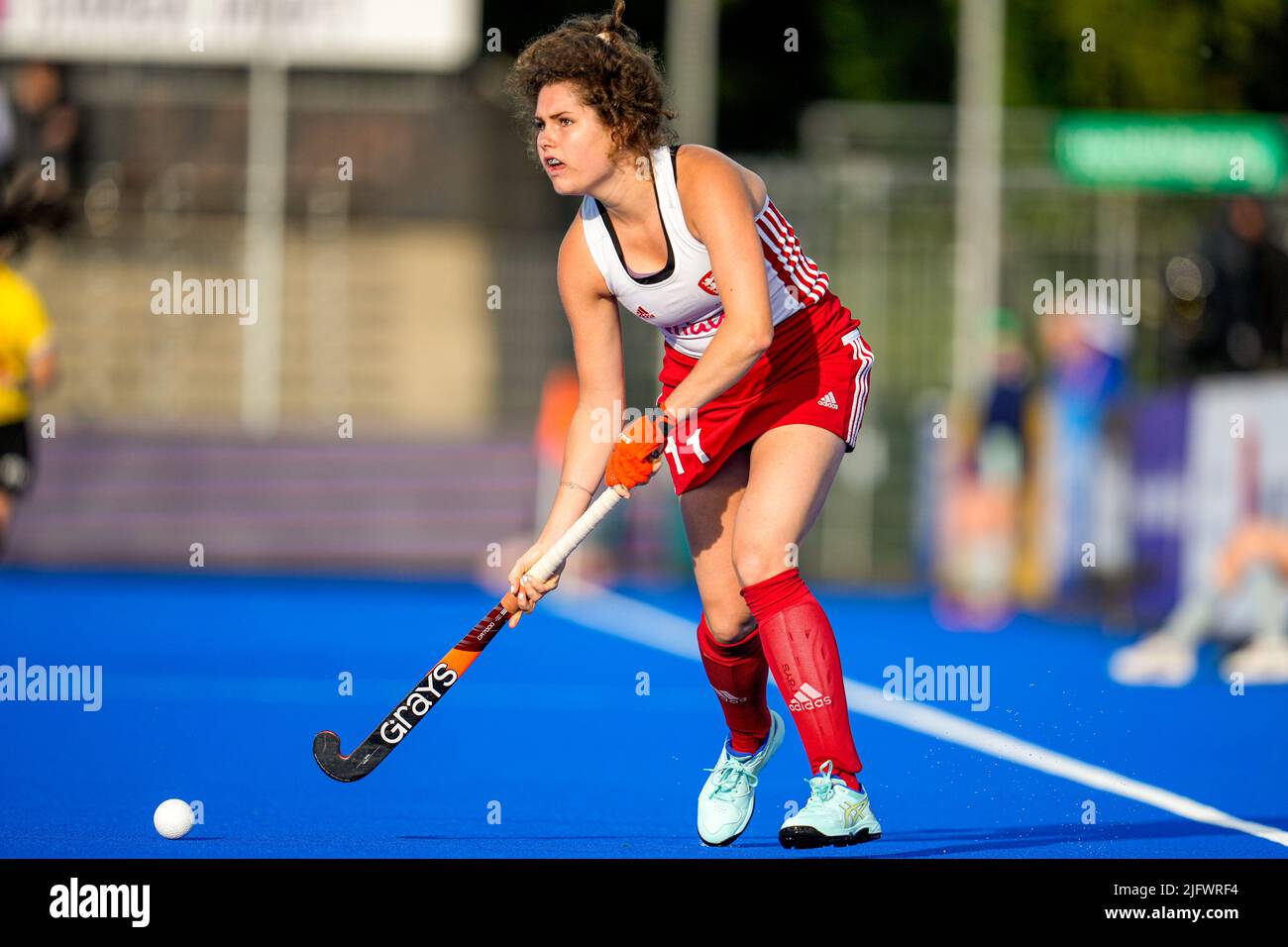 Holly hunt hi-res stock photography and images - Alamy