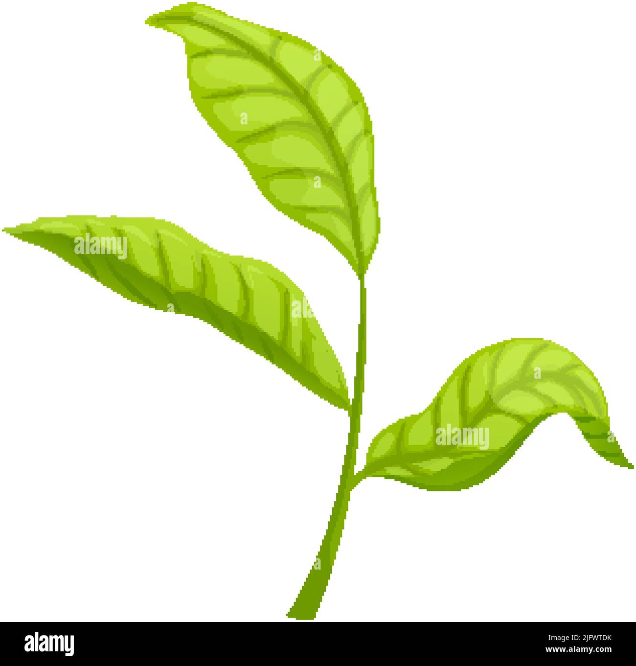 Chinese tea plantation Stock Vector Images - Alamy