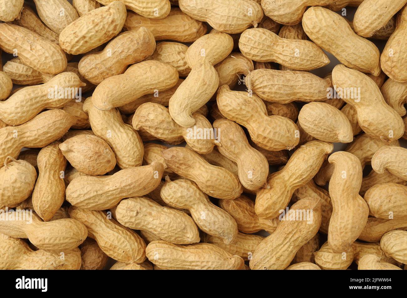Groundnut hi-res stock photography and images - Alamy