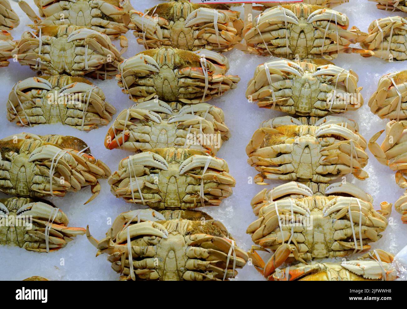 Crabs structure hi-res stock photography and images - Alamy
