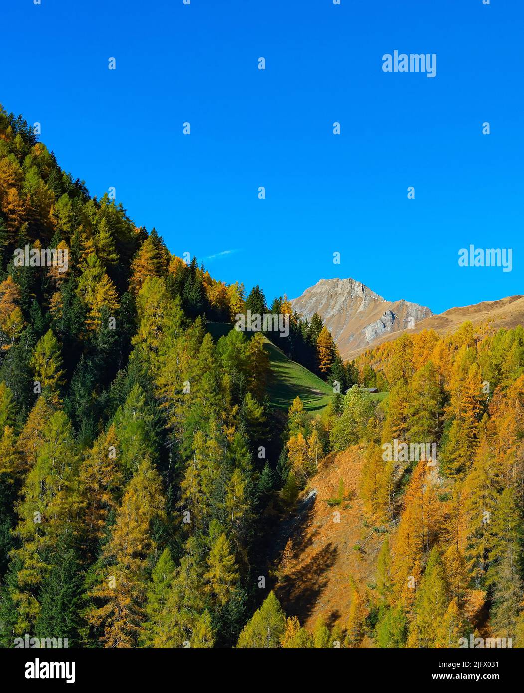 Austrian Alps. Landscape with forest and moon over mountains peaks ...