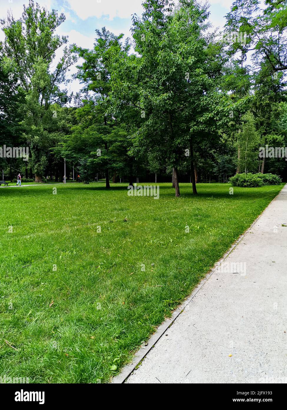 Long stony and sandy path in park full of high green trees Stock Photo ...