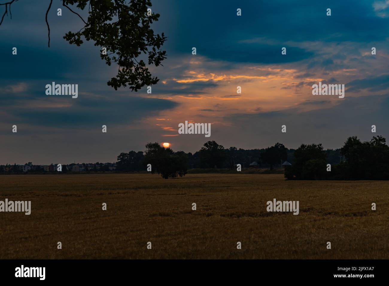 Beautiful cloudy sunrise over big yellow field and trees of forest ...