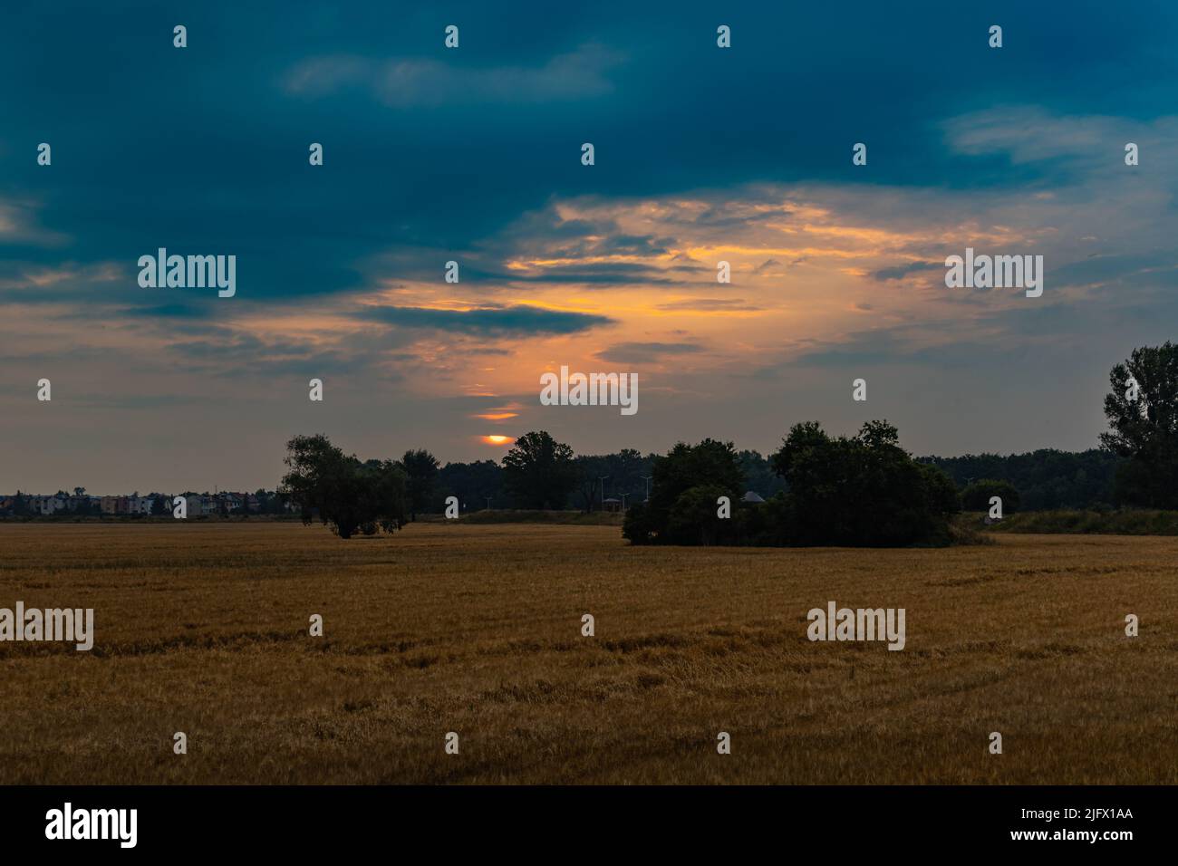 Beautiful cloudy sunrise over big yellow field and trees of forest ...