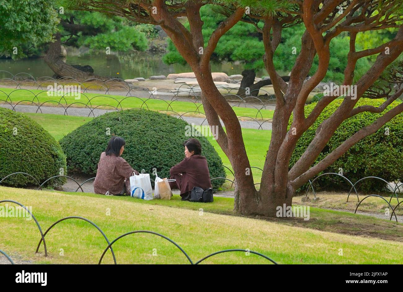 Daily scenes from a fall afternoon in the Shinjuku Gyoen National ...