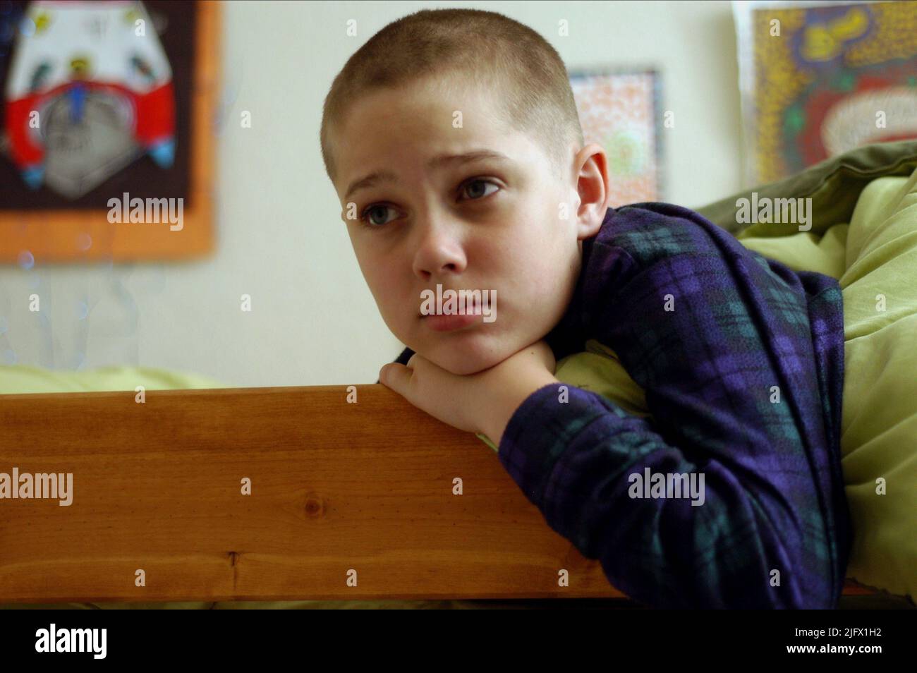 ELLAR COLTRANE, BOYHOOD, 2014 Stock Photo - Alamy