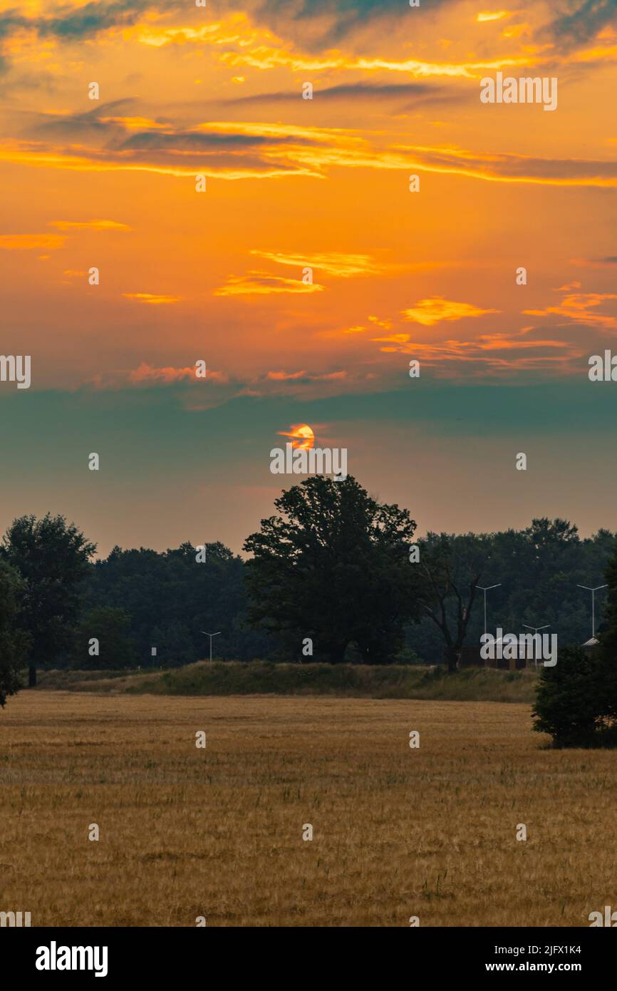 Beautiful cloudy sunrise over big yellow field and trees of forest ...