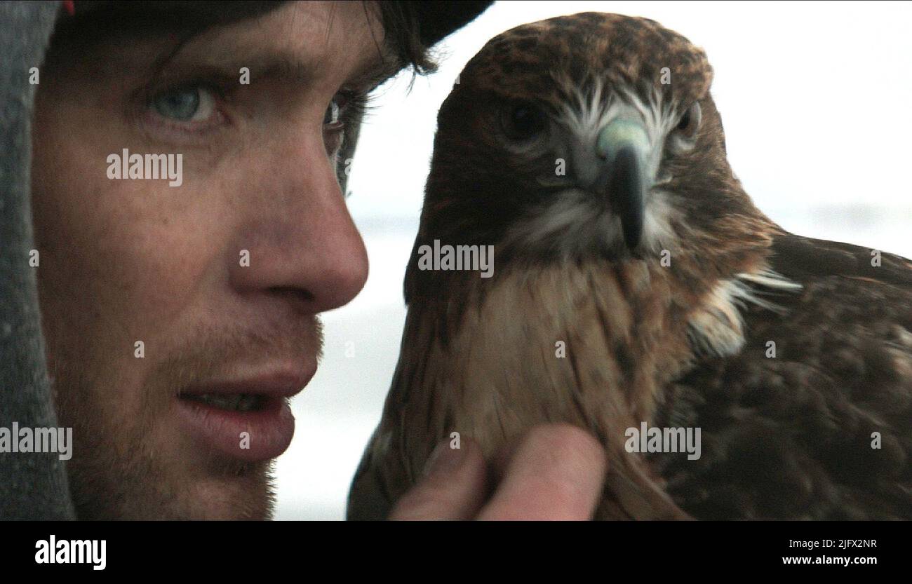 CILLIAN MURPHY, ALOFT, 2014 Stock Photo - Alamy