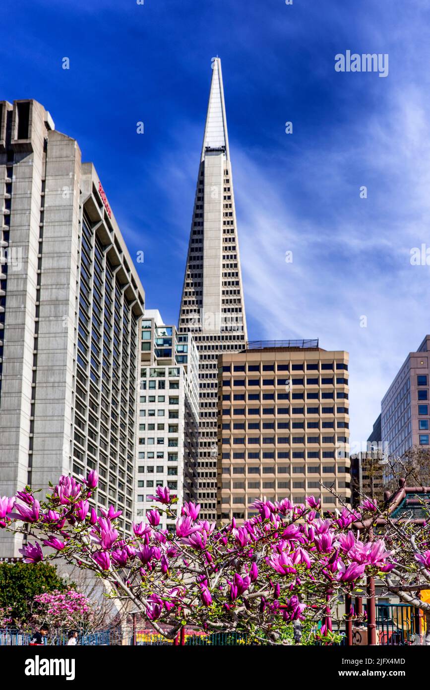 San Francisco Landmark Stock Photo - Alamy