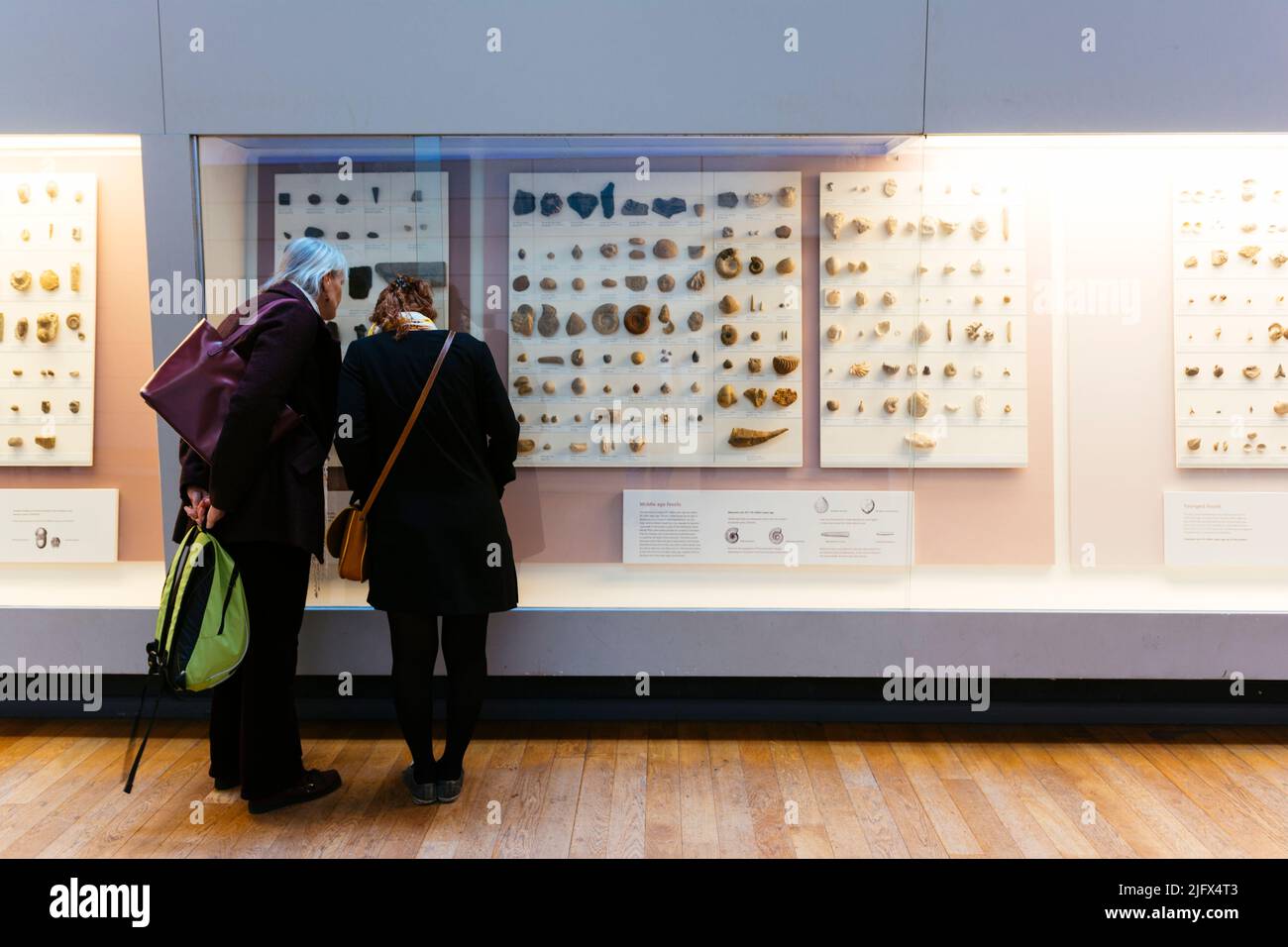 Britain fossil exhibition. Natural History Museum. Kensington & Chelsea ...