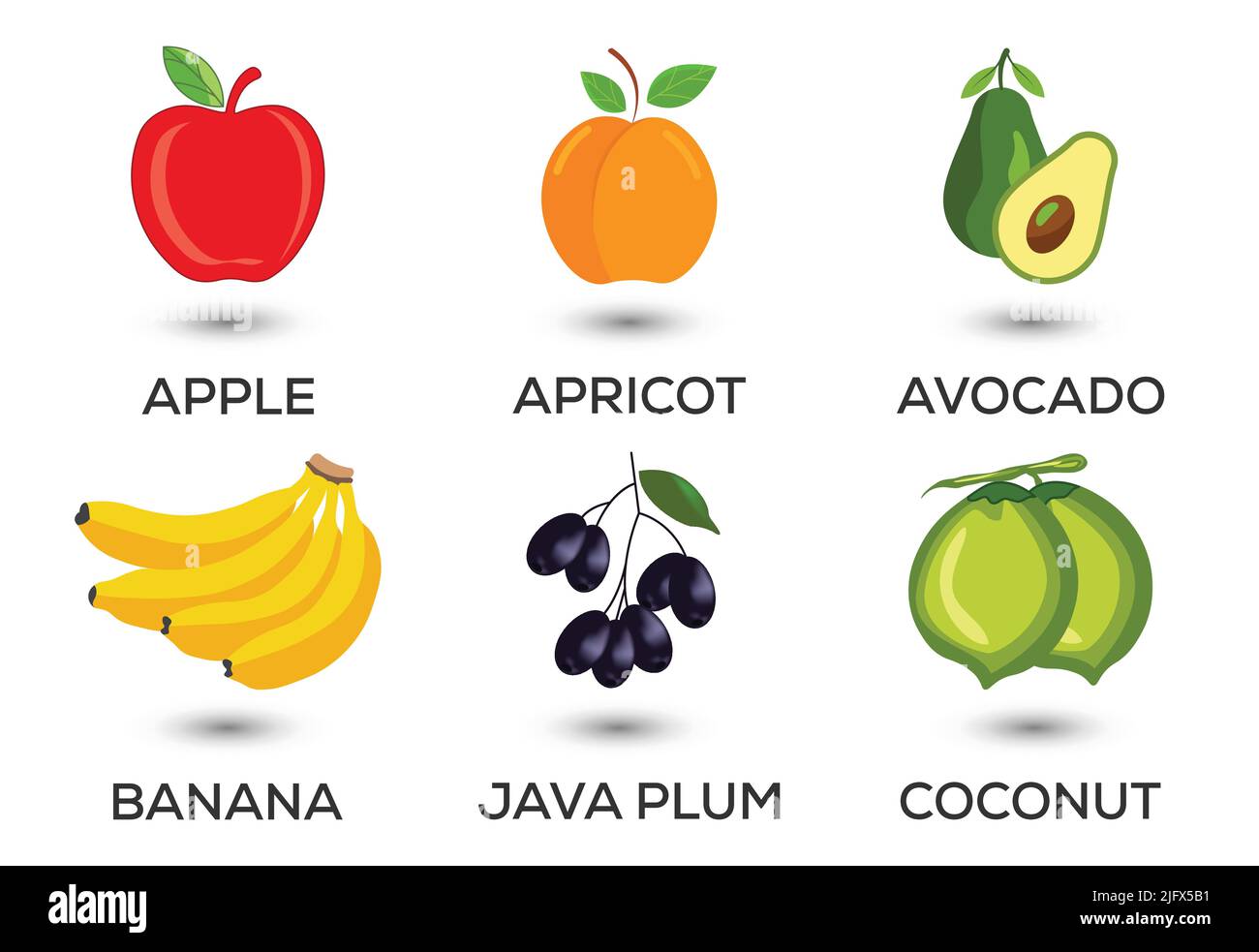 Set of fruits. Different colorful fruits. Fresh food, healthy eating ...