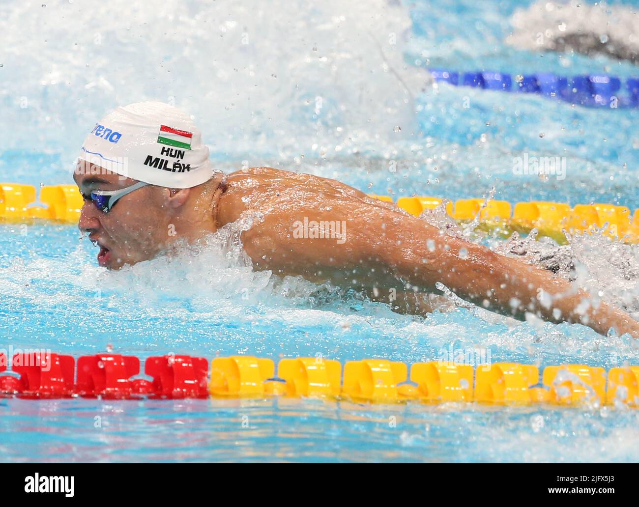 Kristof Milak of Hongrie Finale 100 M Butterfly Men during the 19th ...