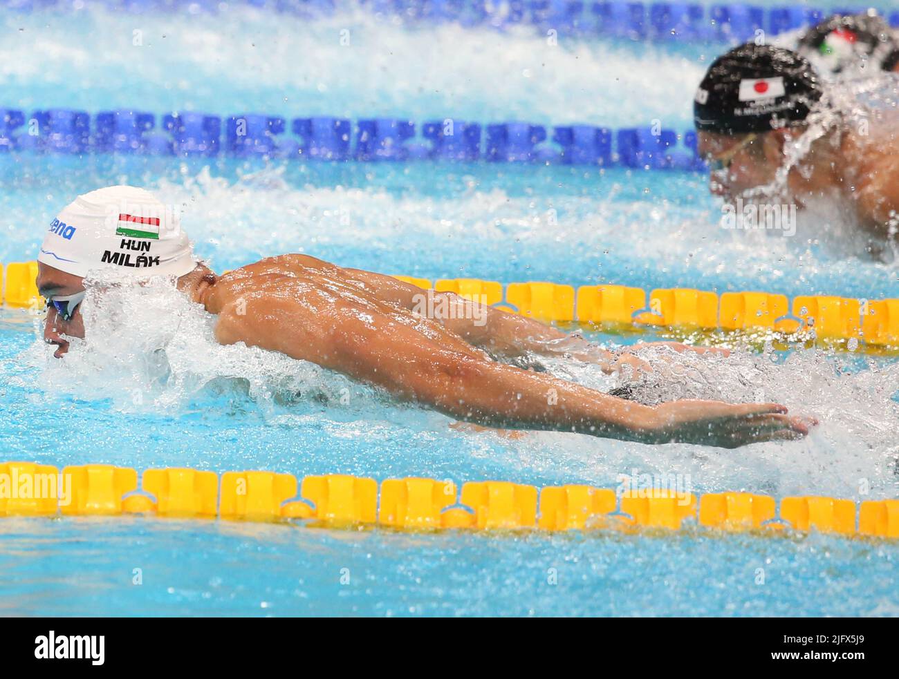 Kristof Milak of Hongrie Finale 100 M Butterfly Men during the 19th ...