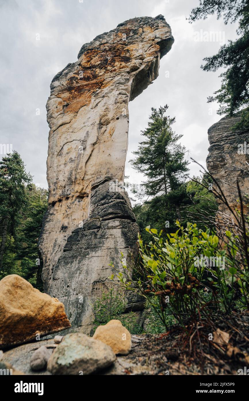 Famous rock tower named Kobyla in Prihrazy sandstone area, Bohemian ...