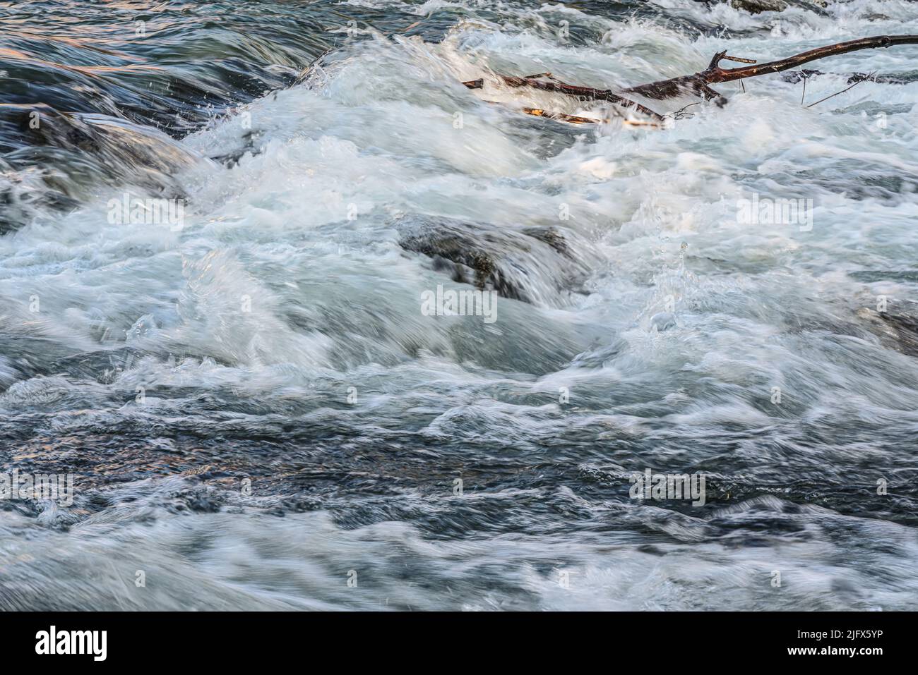 Rapid spring river flowing over rocks and drift tree branches on sunny ...