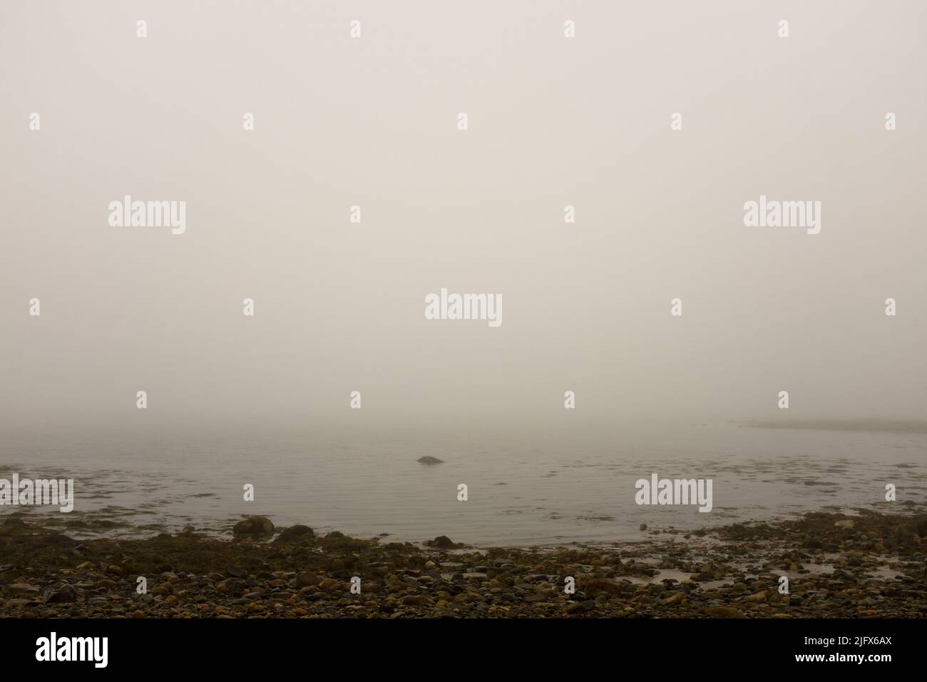Heavy Fog at Beach Stock Photo - Alamy