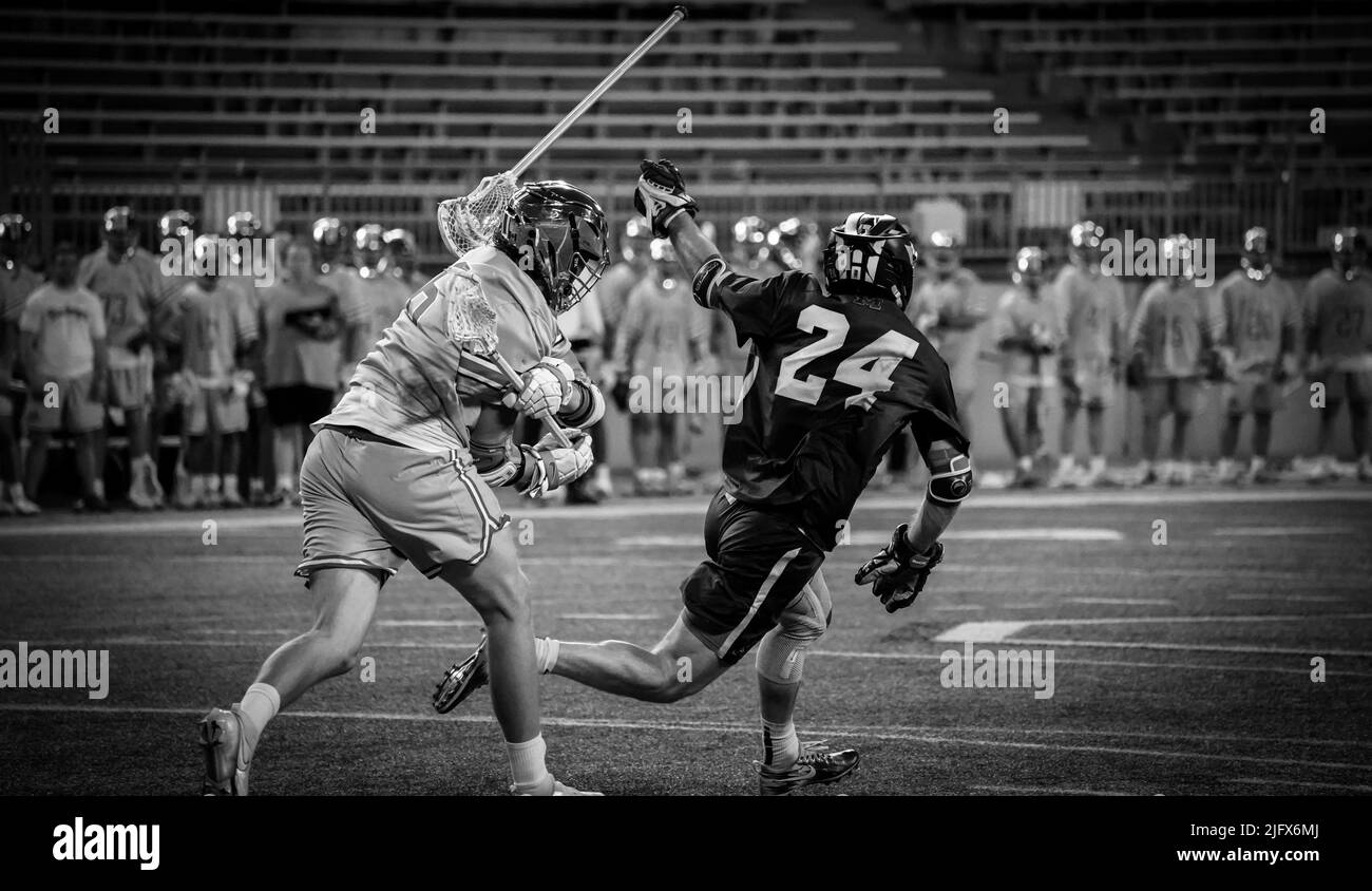 The lacrosse players in action during an exhibition match Stock Photo ...