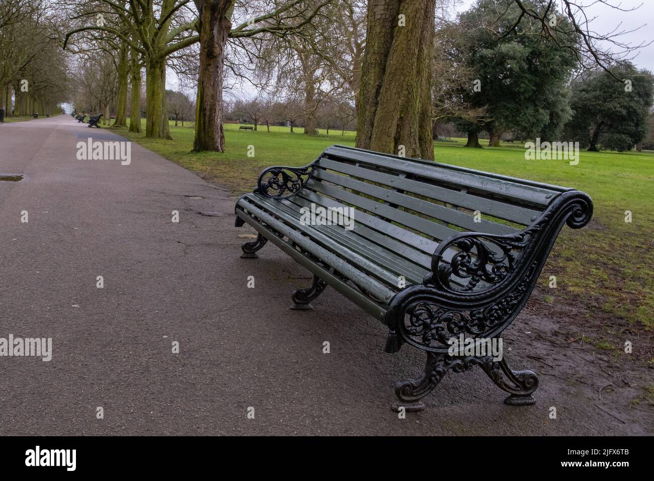 Empty bench on the side of the lane, Greenwich Park, London, UK Stock ...