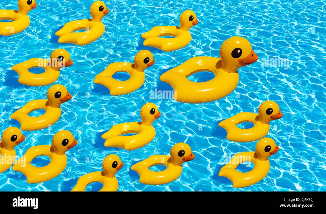 Duck with group of many baby ducklings swim in the pool Stock Photo - Alamy