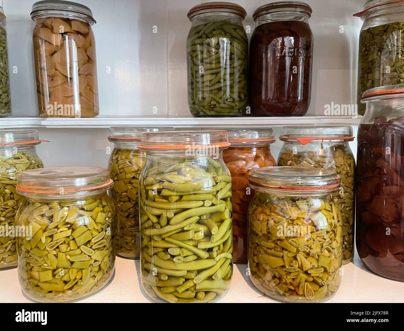 The food preservation concept with variety of preserved food in the ...