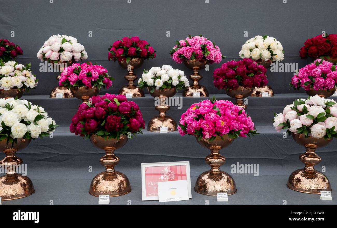 Flower displays at the RHS Hampton Court Flower Festival Stock Photo ...