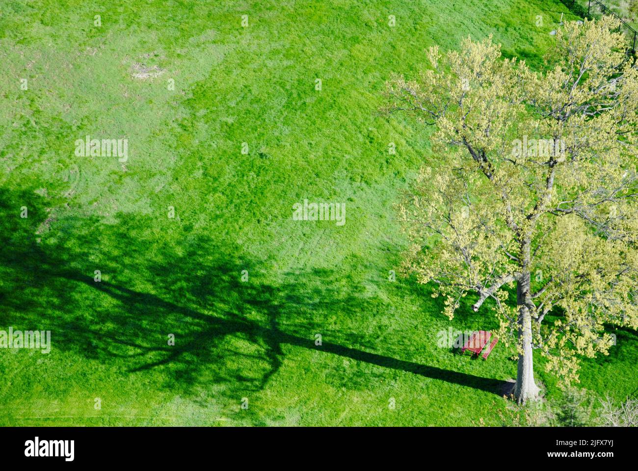 Shadow under tree hi-res stock photography and images - Alamy