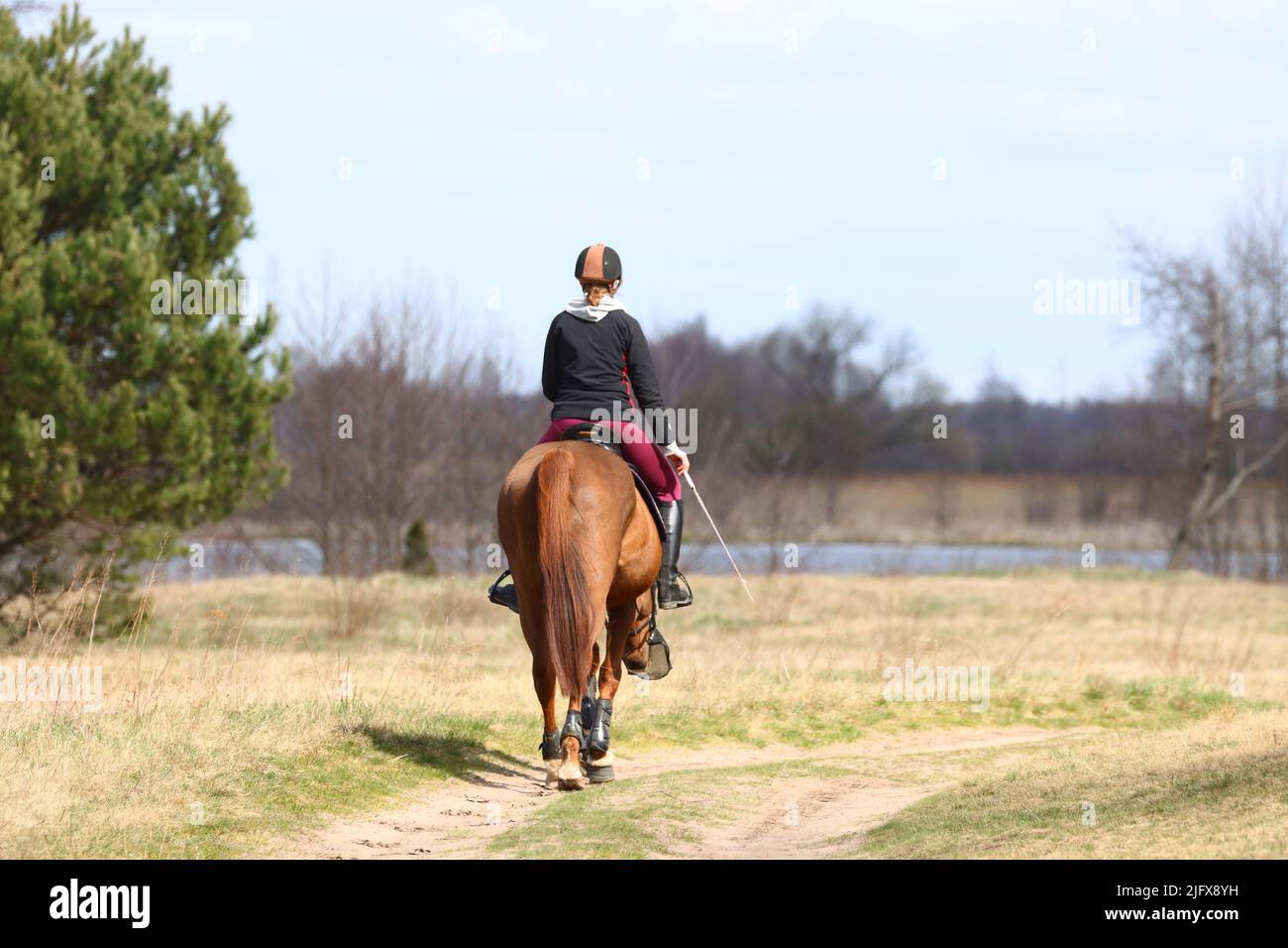 A back view of a young girl riding a horse near the lakeshore Stock ...