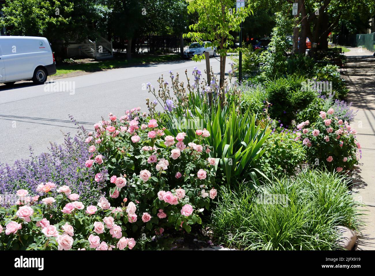 Street garden in Ohio City, Cleveland, Ohio in May 2022 Stock Photo - Alamy