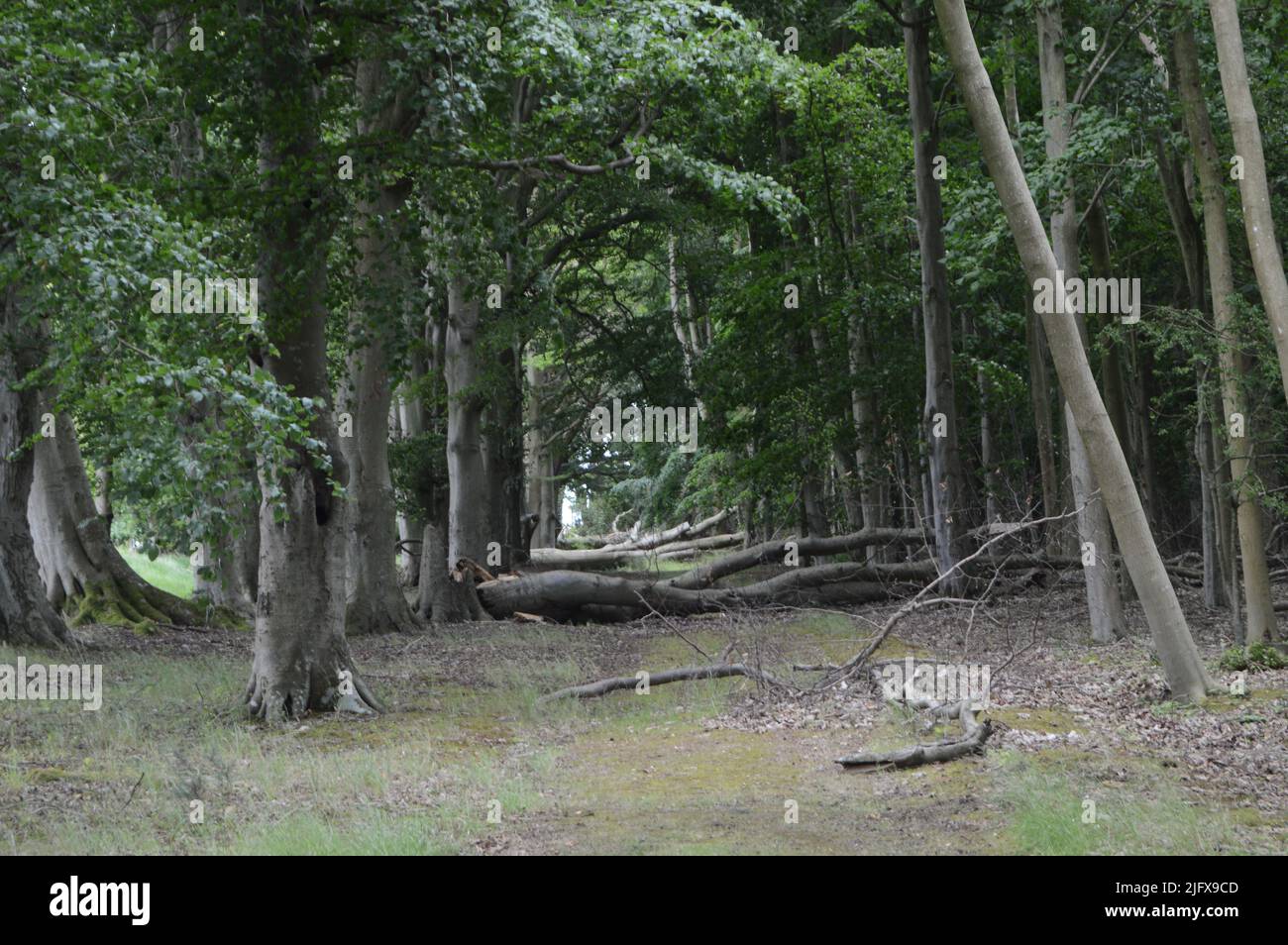 16th century Earlshall Castle, Leuchars, Fife, Scotland, July 2022 ...