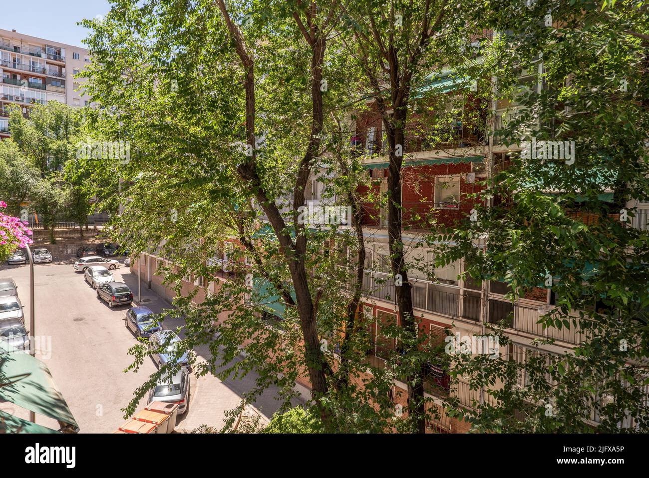 Facades of urban residential buildings with leafy trees in front Stock ...