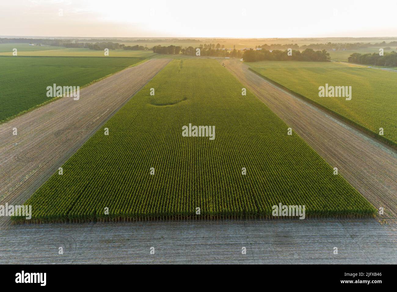 Silage field hi-res stock photography and images - Alamy