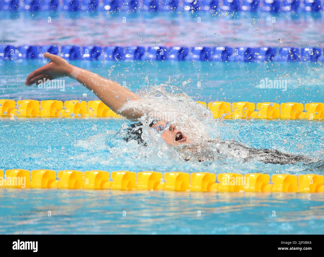 Phoebe bacon hi-res stock photography and images - Alamy