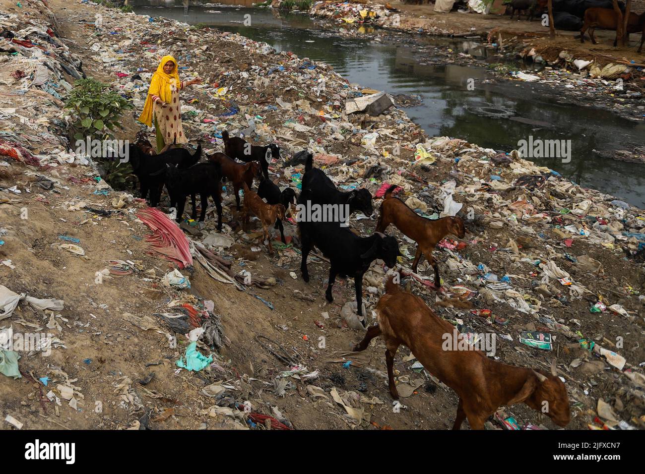 Single use plastics animals hi-res stock photography and images - Alamy