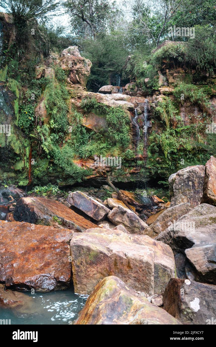 A vertical shot of a small waterfall flowing over a cliff overgrown ...
