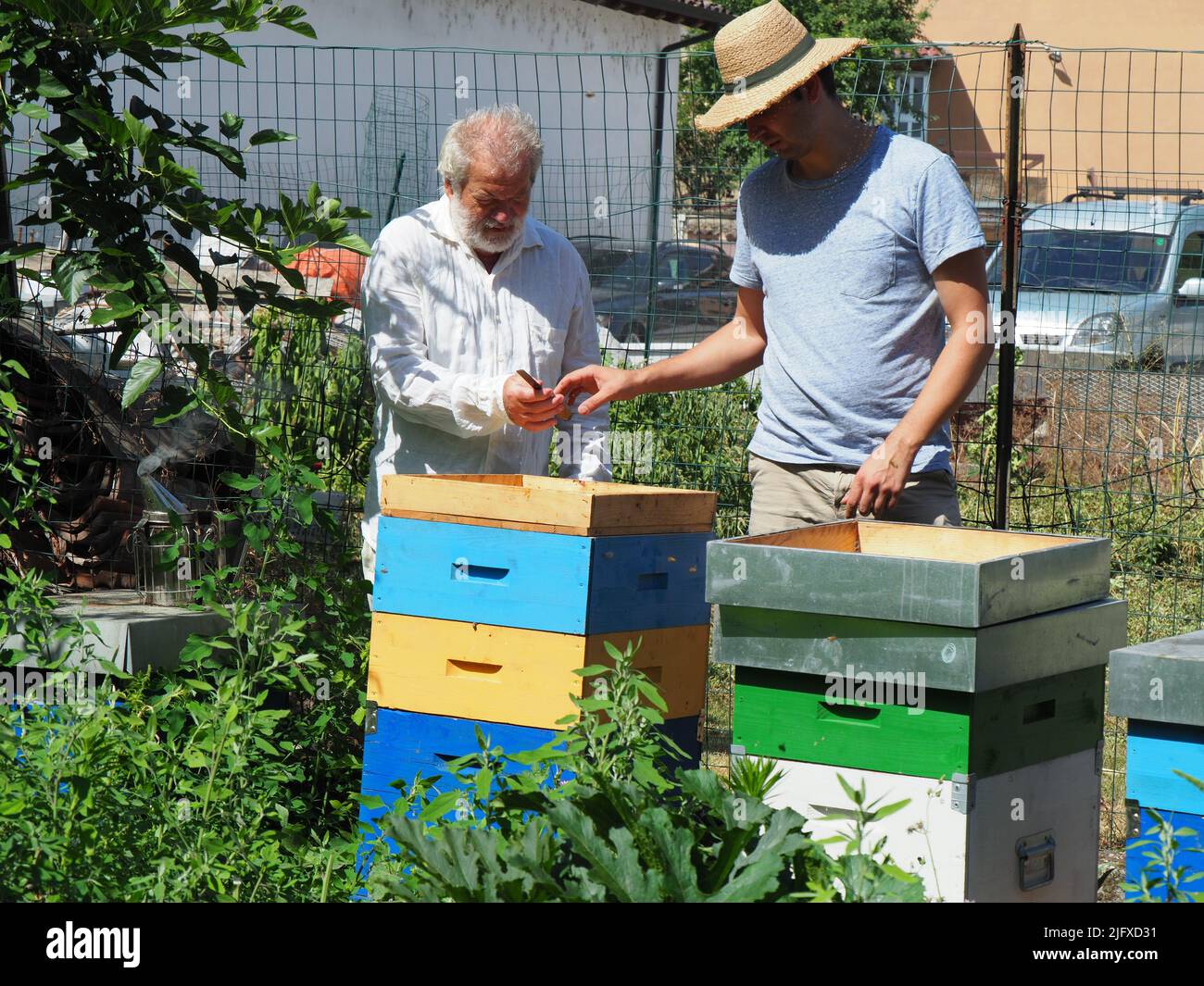 Master bee keeper pulls out a frame with honey from the beehive in the ...