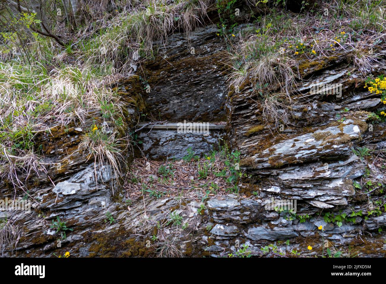 A view of the grass-covered ruins of an old stone building in the ...