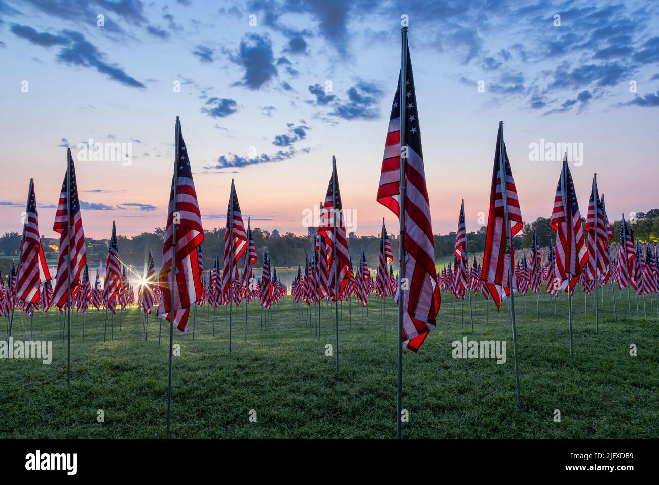 65095-03116 Flags of Valor display on Art Hill by St. Louis Art Museum ...