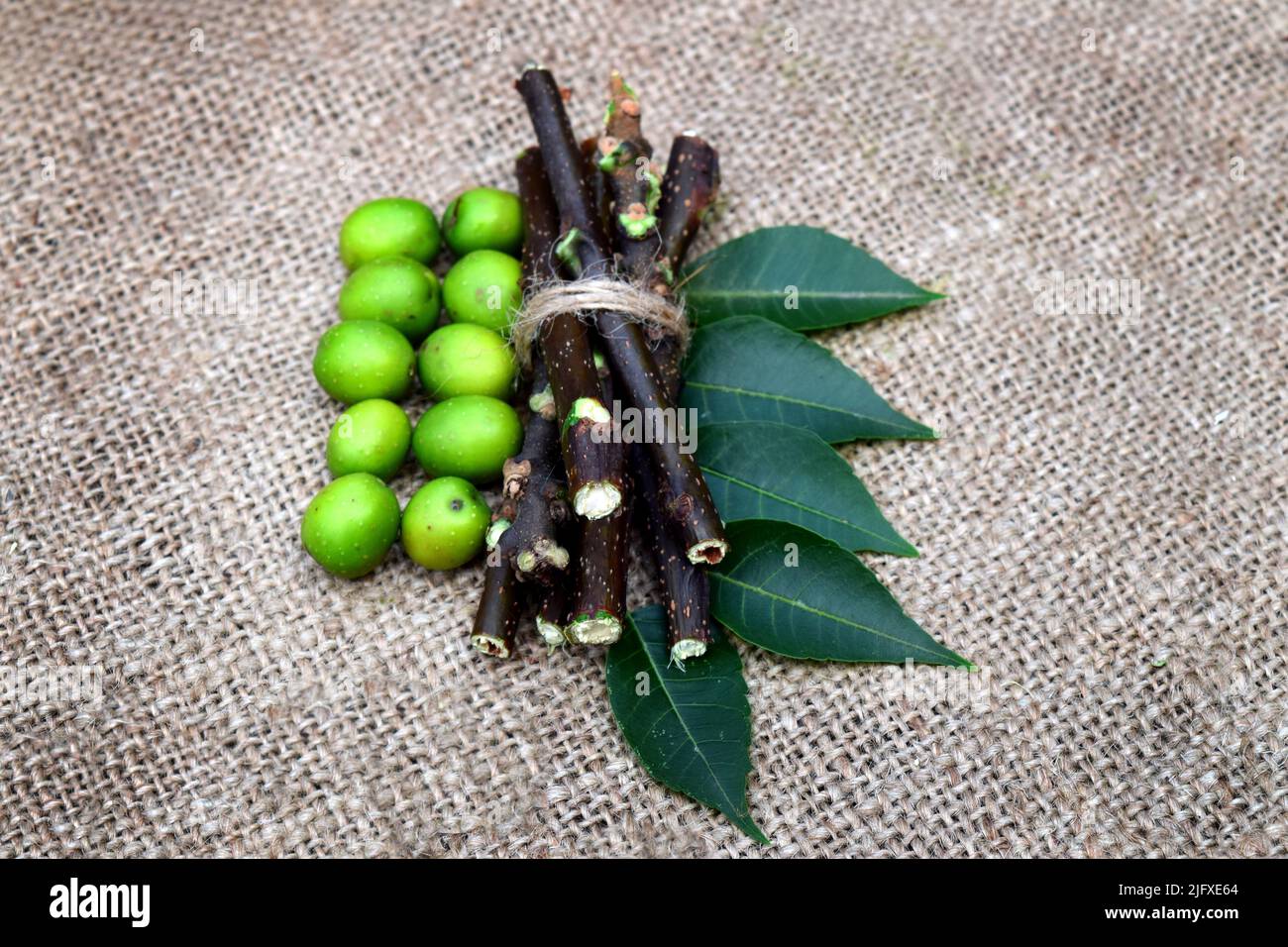 Margosa leaves, fruits, and stems on jute fabric background. Neem leaf ...
